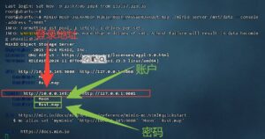 Linux环境搭建Minio存储桶保姆教程 – Moon